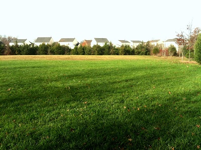 Multi Purpose Field – Green Hill Crossing